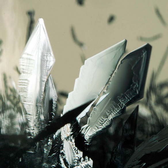 Elemental Elegance: 14 Amazing Photographs of Elements | Urbanist