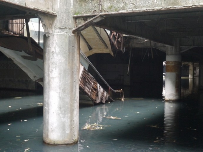 Metro Koi: Thousands of Fish Occupy Abandoned Bangkok Mall | Urbanist