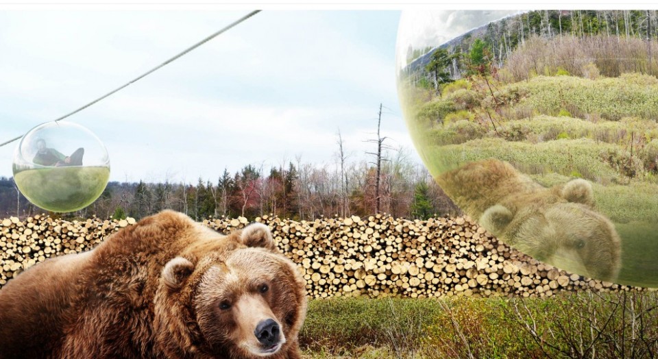 Inverted Zoo: Enclosure-Free Design Puts Animals in the Open | Urbanist