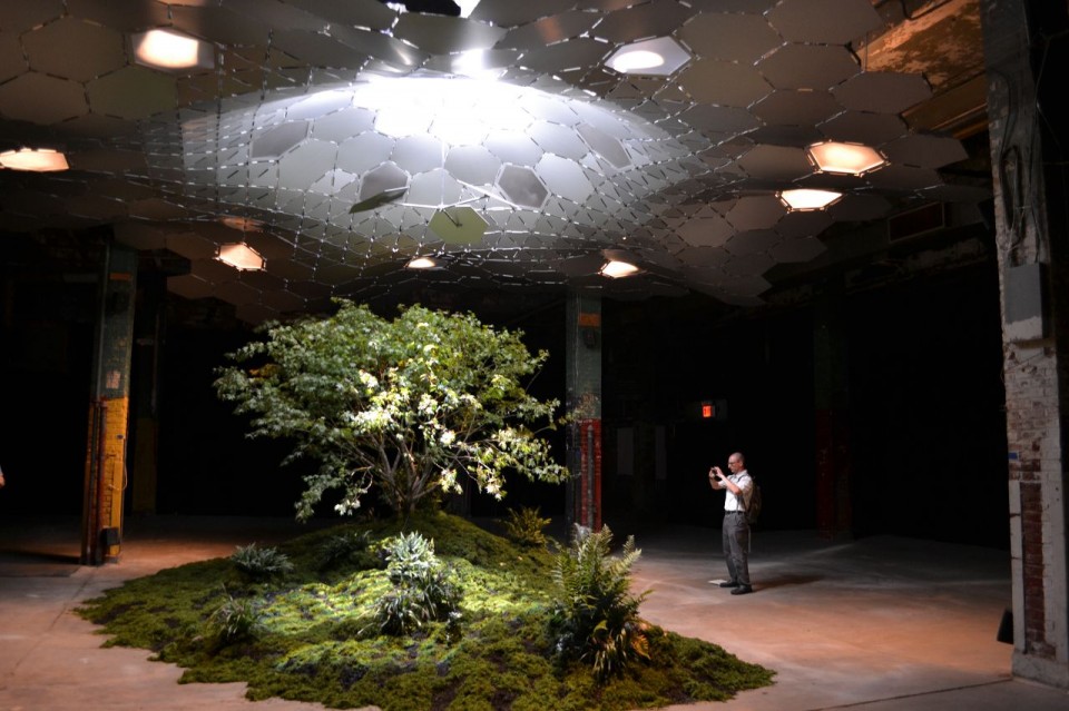 Lowline for NYC: World’s First Underground Park in Manhattan - WebUrbanist