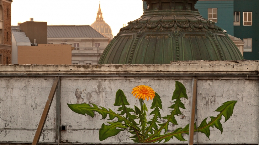 Hand-Grown Murals: Watch as Plant Paintings Take Over Walls | Urbanist