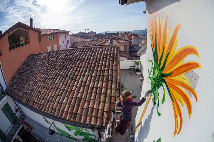 Hand-Grown Murals: Watch as Plant Paintings Take Over Walls | Urbanist