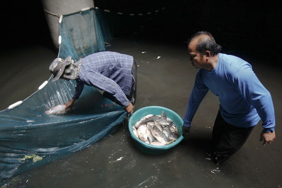 Fished to Freedom: Deserted Mall Full of Fish to be Demolished ...
