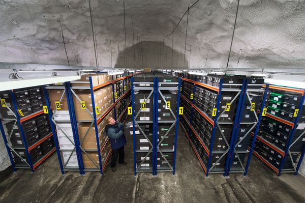 Food Futures: Arctic Seed Vault Adds 100,000 New Varieties | Urbanist
