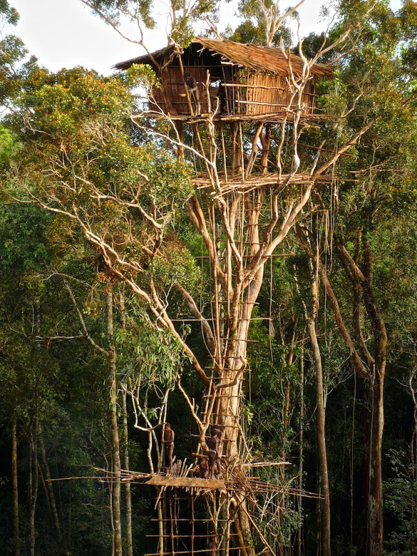 The High Life: 12 Incredible Residential Tree House Designs | Urbanist