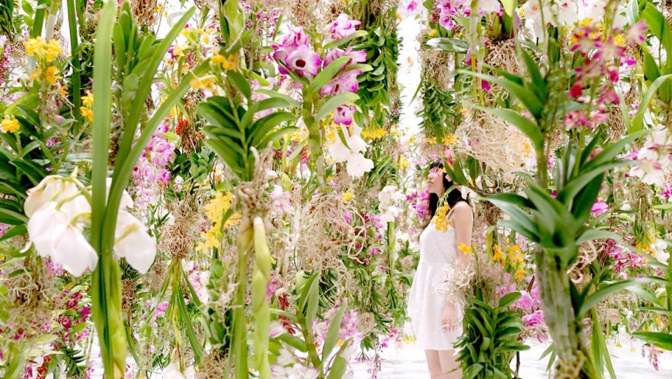 2,300 Floating Flowers: Interactive Garden Makes Way as You Walk | Urbanist