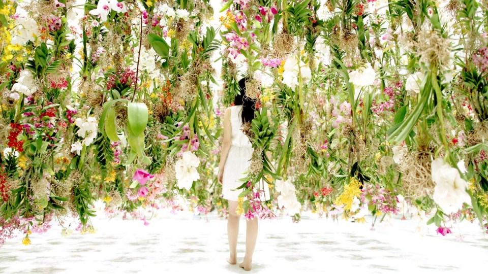 2,300 Floating Flowers: Interactive Garden Makes Way as You Walk | Urbanist