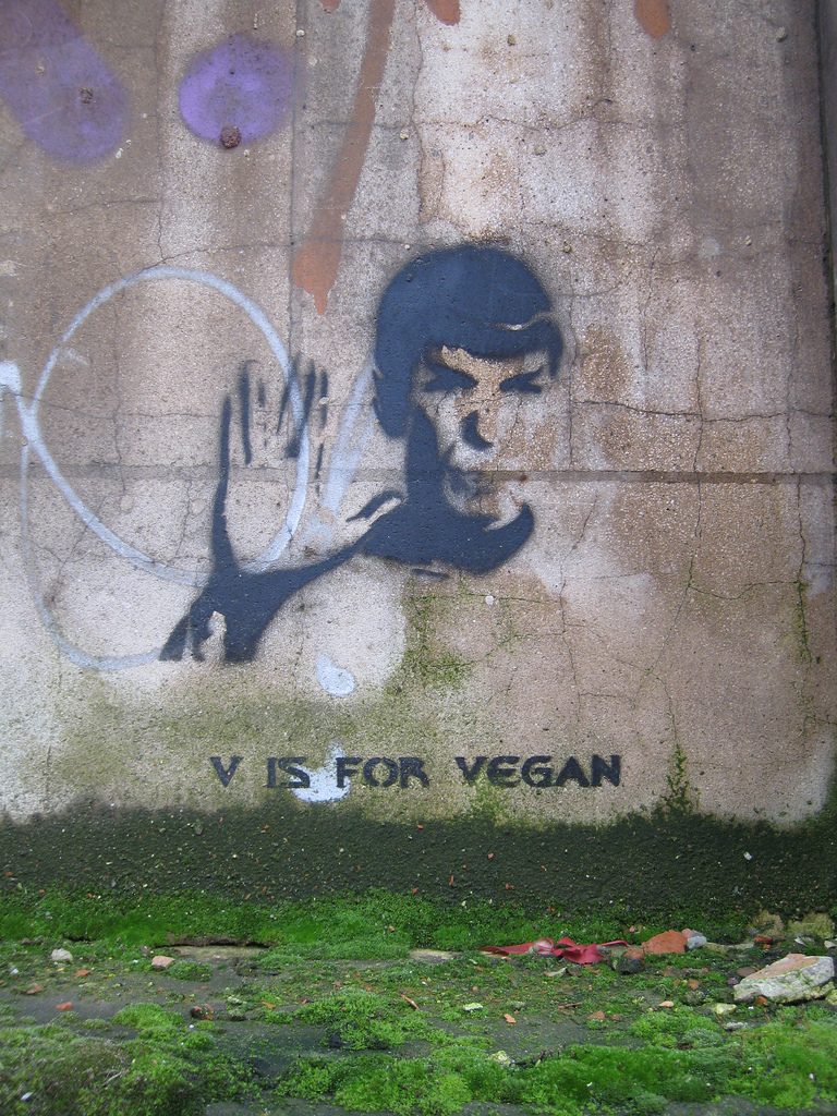 Urban Spock: 20 Fascinating Leonard Nimoy Graffiti Tributes | Urbanist