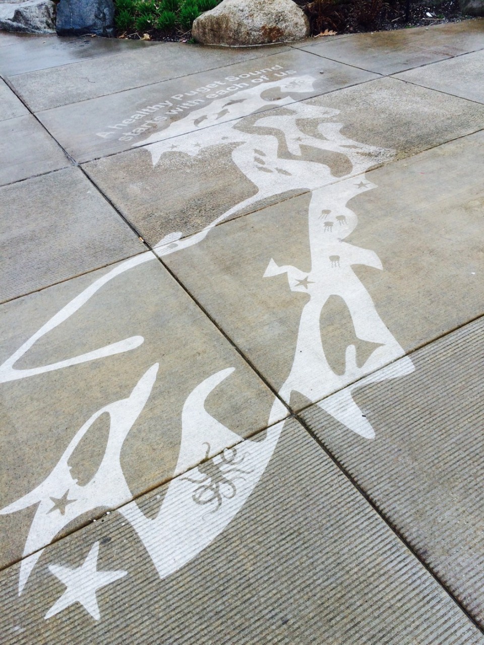 Rainworks: Water-Activated Street Art & Games in Rainy Seattle | Urbanist