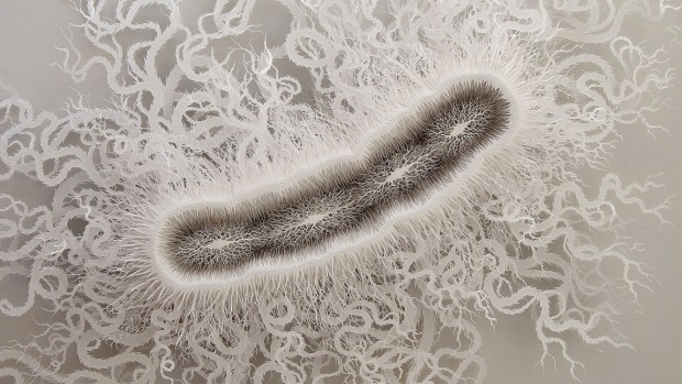 Beautiful Bacteria: Infectiously Intricate Paper Cut Art | Urbanist