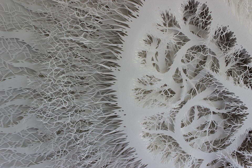 Beautiful Bacteria: Infectiously Intricate Paper Cut Art | Urbanist