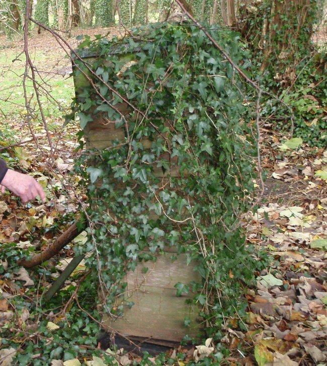 Buzzkill: 10 Sweet Abandoned Apiaries & Busted Beehives - WebUrbanist