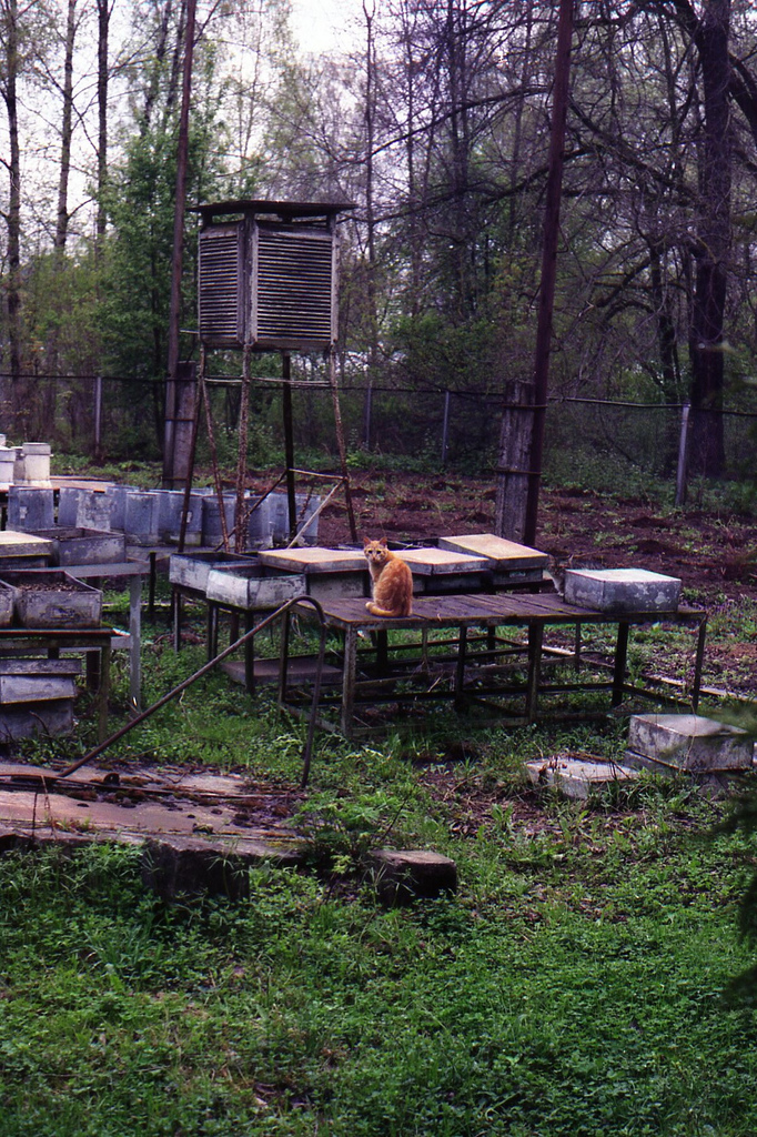 Buzzkill: 10 Sweet Abandoned Apiaries & Busted Beehives - WebUrbanist