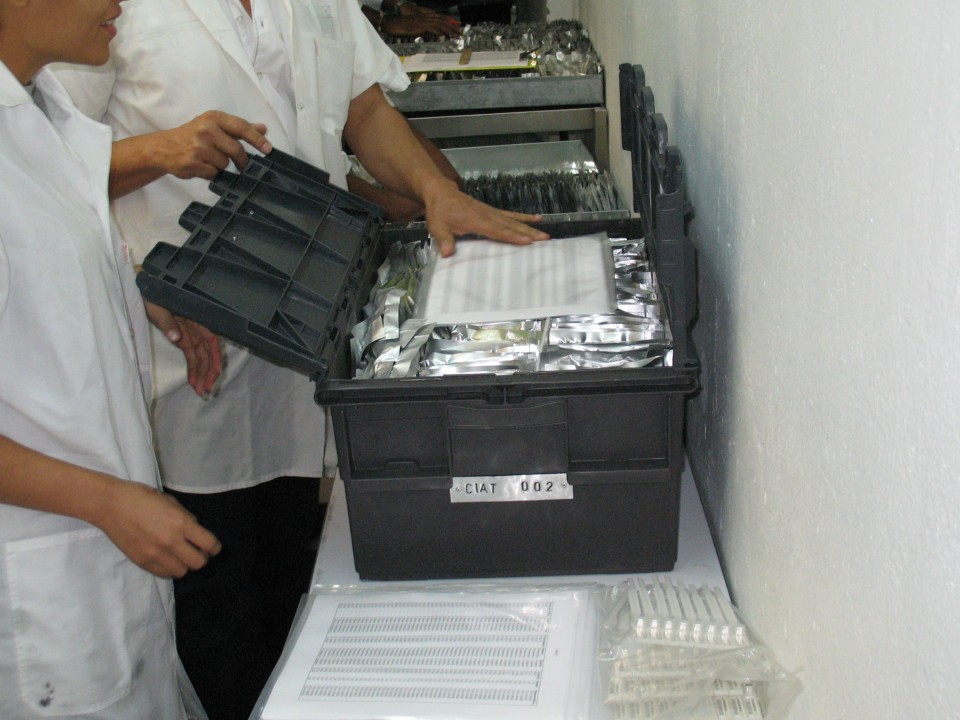 Life After Apocalypse: 8 Seed Banks Saving Up for the Future | Urbanist