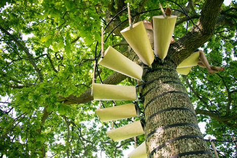Branch Up: Modular Spiral Staircase Wraps Trees for Climbing | Urbanist