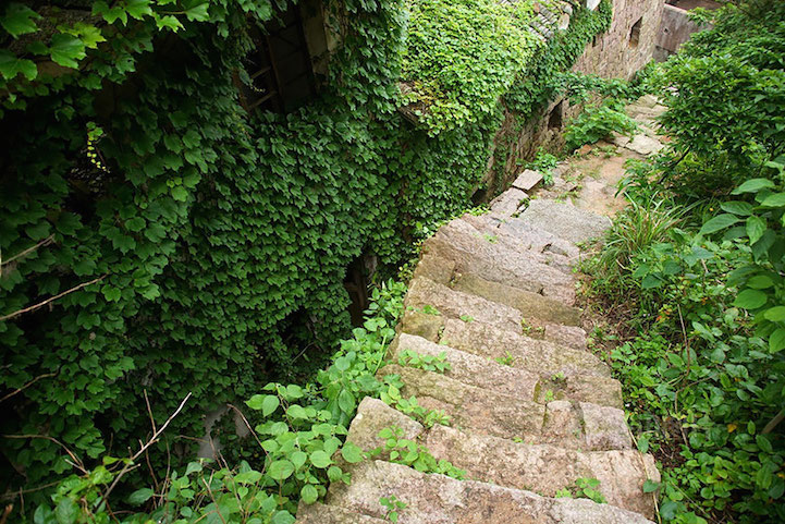 Gone Green: Vacant 50 Years, Chinese Village Conquered by Ivy | Urbanist