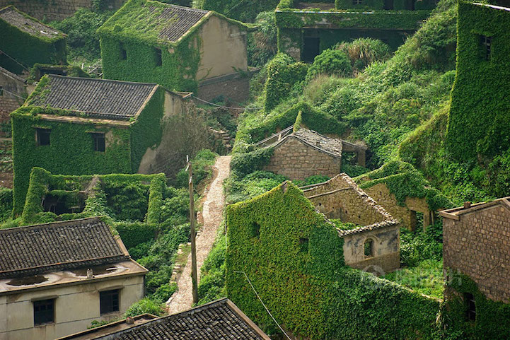 Gone Green: Vacant 50 Years, Chinese Village Conquered by Ivy | Urbanist