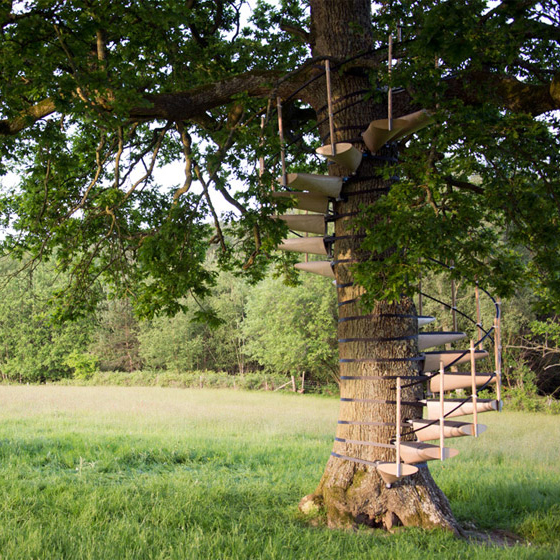 Branch Up: Modular Spiral Staircase Wraps Trees for Climbing | Urbanist