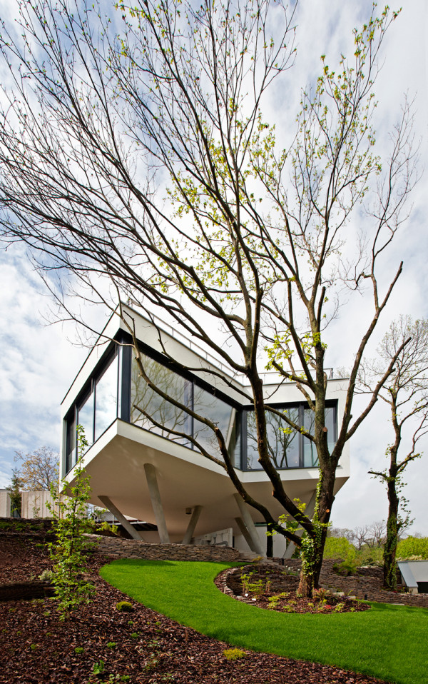 Arboreal Architecture: 14 Houses Built Around & Within Trees | Urbanist