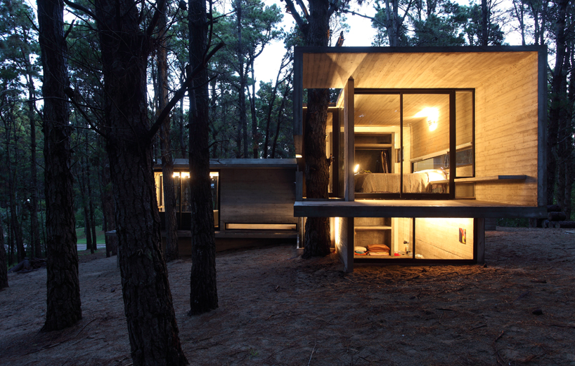 Arboreal Architecture: 14 Houses Built Around & Within Trees | Urbanist