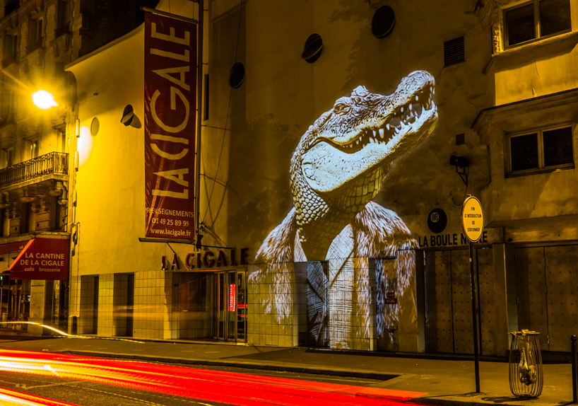 Paris Safari: Projected Wildlife Gets Chic in the City - WebUrbanist