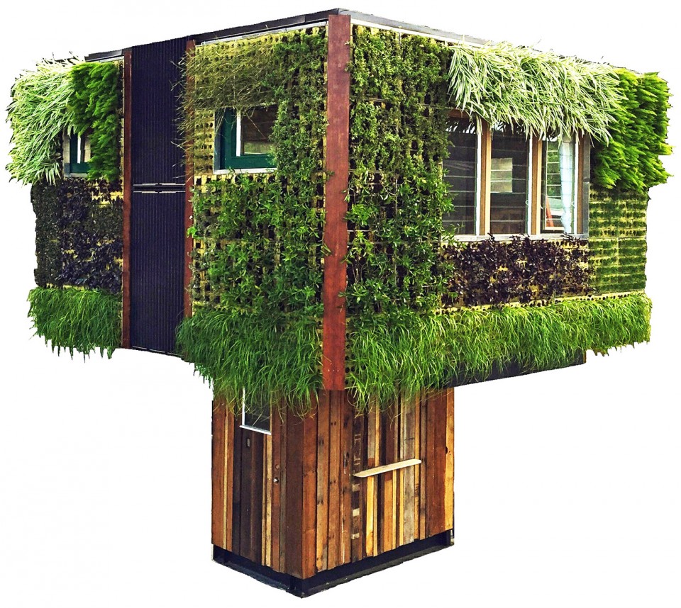 Form Follows Treehouse: Tiny Green Canopy Home Tops Wood Trunk ...