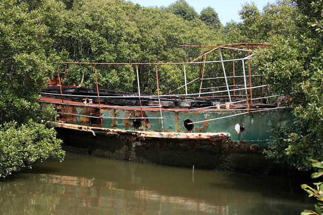 Floating Forest: Trees Rise From Corpse of Abandoned Ship | Urbanist