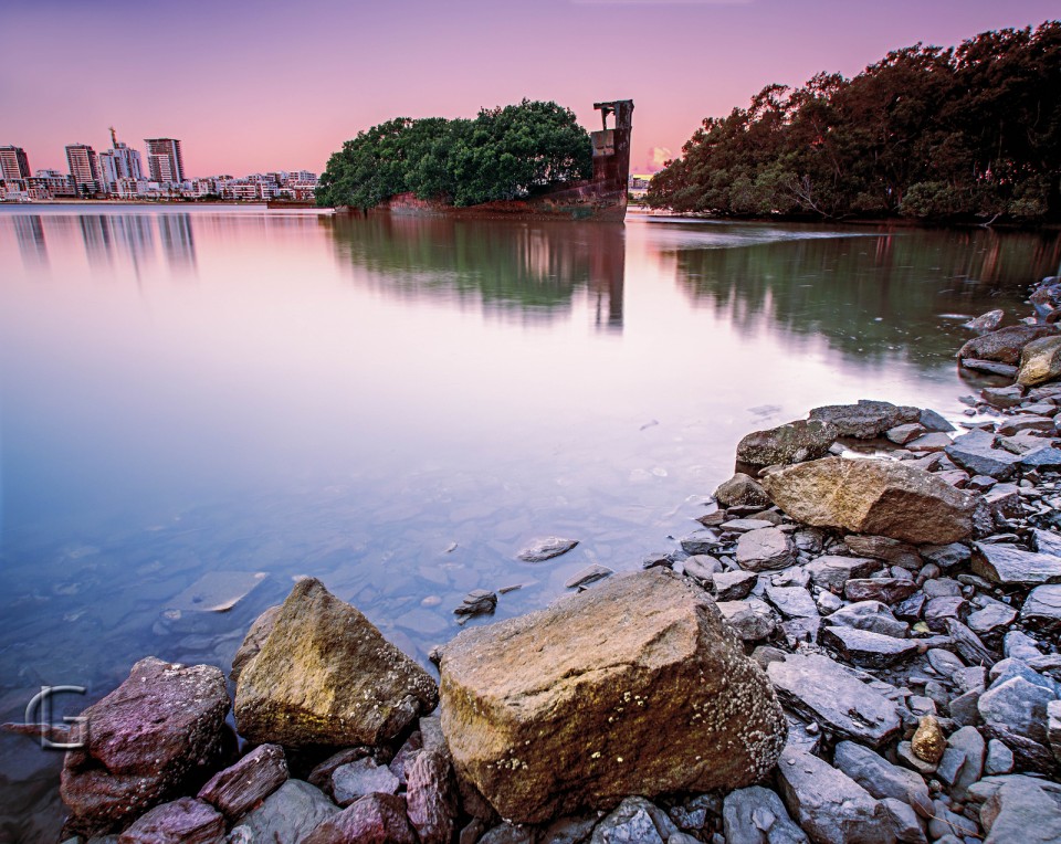 Floating Forest: Trees Rise From Corpse of Abandoned Ship | Urbanist