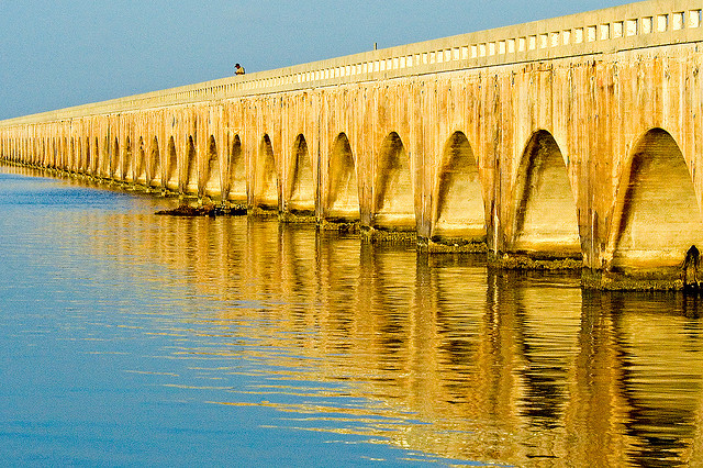 Freaky Florida: 12 of a Weird State’s Weirdest Attractions | Urbanist