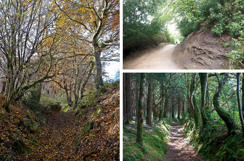 Holloway Roads: Tunnels Eroded by Passage of People Over Time | Urbanist