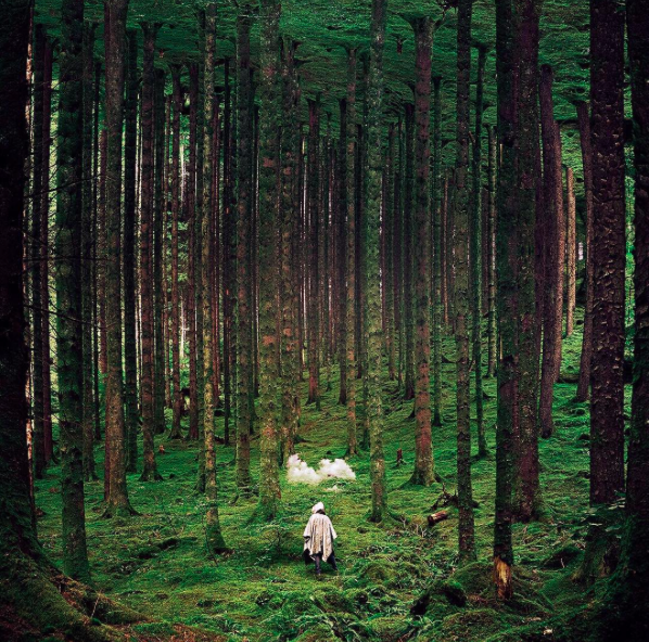 Impossible Landscapes: Distorted Scenes Disrupt Reality | Urbanist