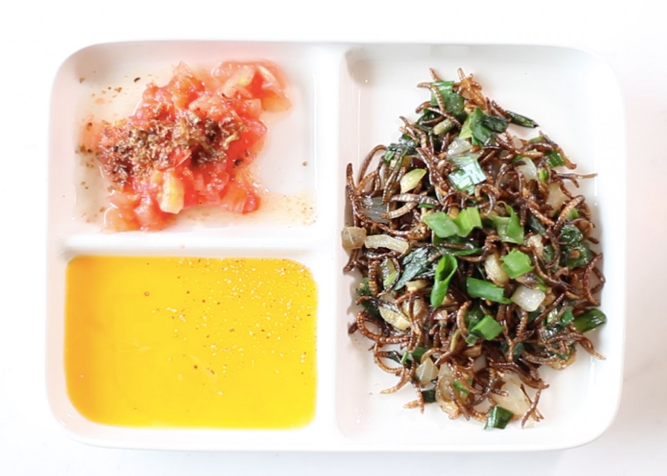 Meal of Worms: Kitchen Farm for Growing Edible Insects at Home ...