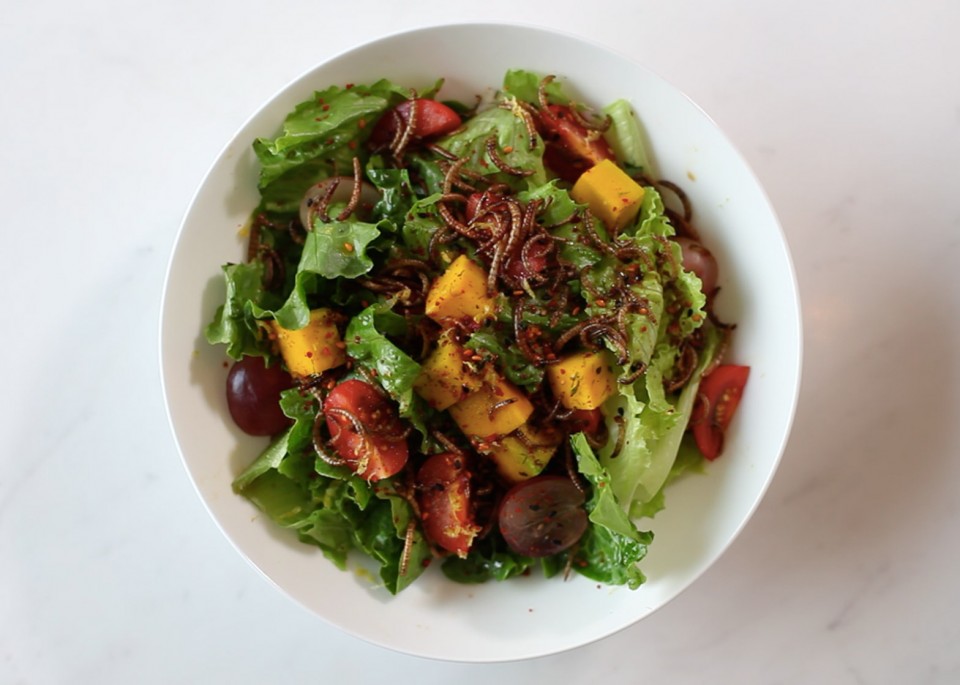 Meal of Worms: Kitchen Farm for Growing Edible Insects at Home | Urbanist