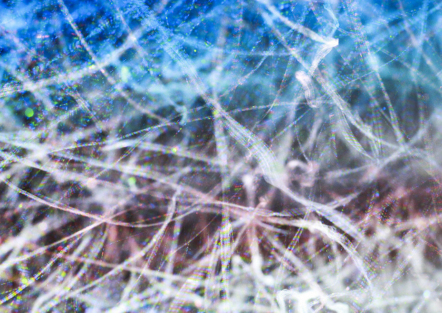 Cinematography of Snow: Watch a Film Projected Onto a Blizzard ...