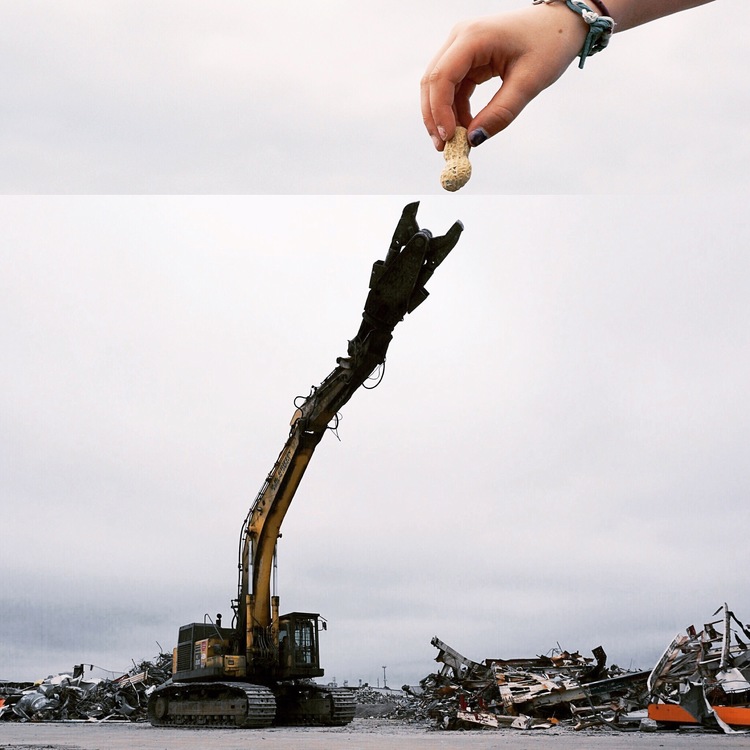 Crazy Combo Compositions: Photo Series Contrasts the Unexpected ...