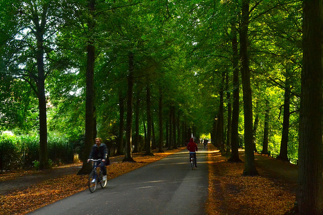 Bike Autobahn: Germany’s 60-Mile Highway for Cyclists Only | Urbanist