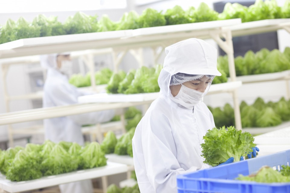 Veggie Factory: World’s First Vertical Farm Run Entirely By Robots ...