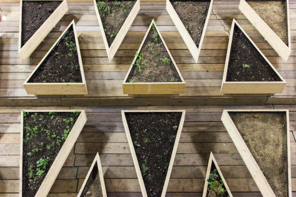 Potential Greenery: Topsoil & Time Shape ‘Empty Lot’ Artwork - WebUrbanist