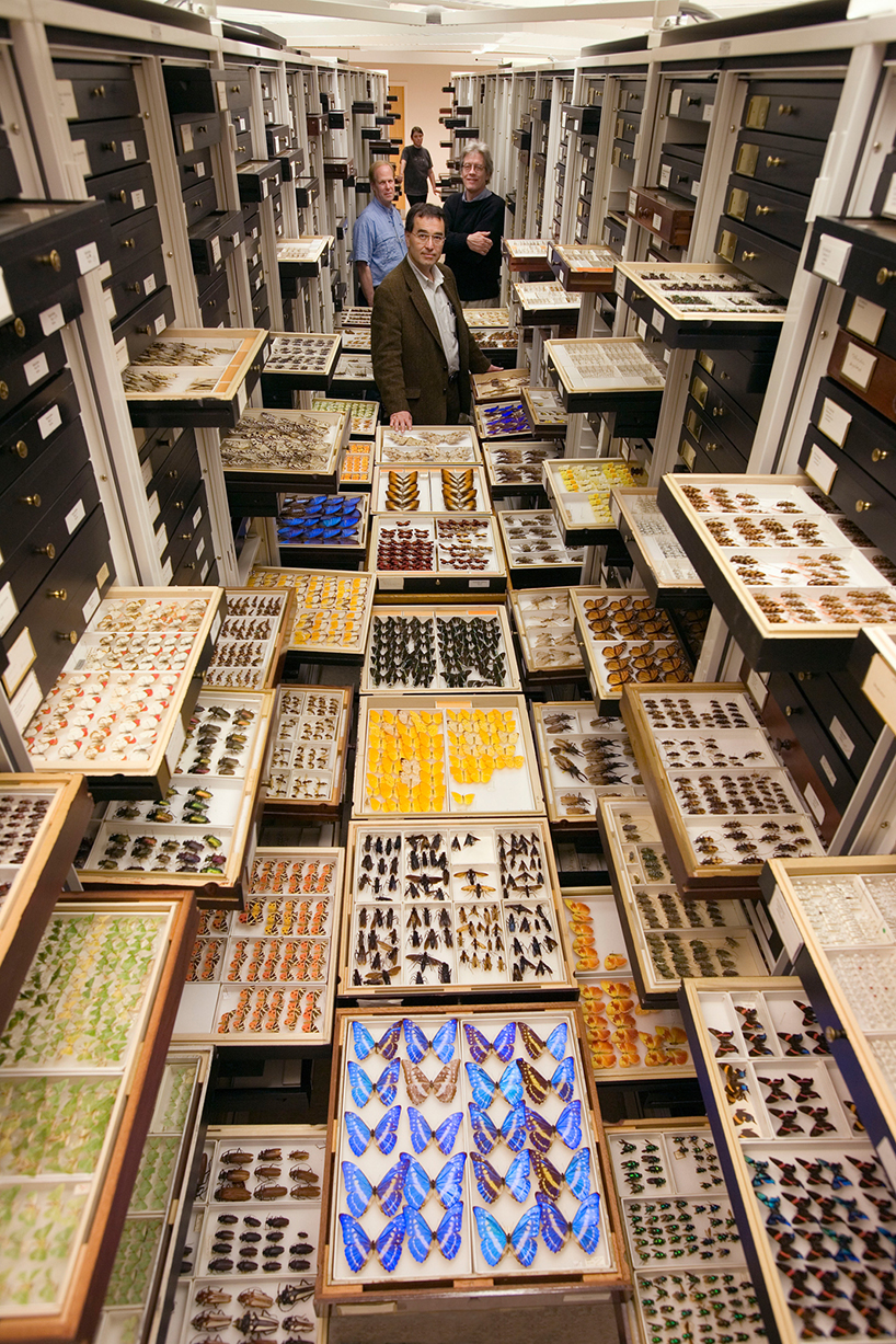 Behind the Scenes: Hidden Collections Storage at the Smithsonian ...