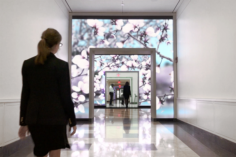 Digital Dynamo: Massive Motion-Activated Media Wall Animates Office ...