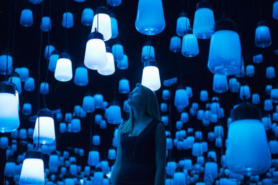 Forest of Resonating Lamps: Brilliant Interactive Illuminated ...