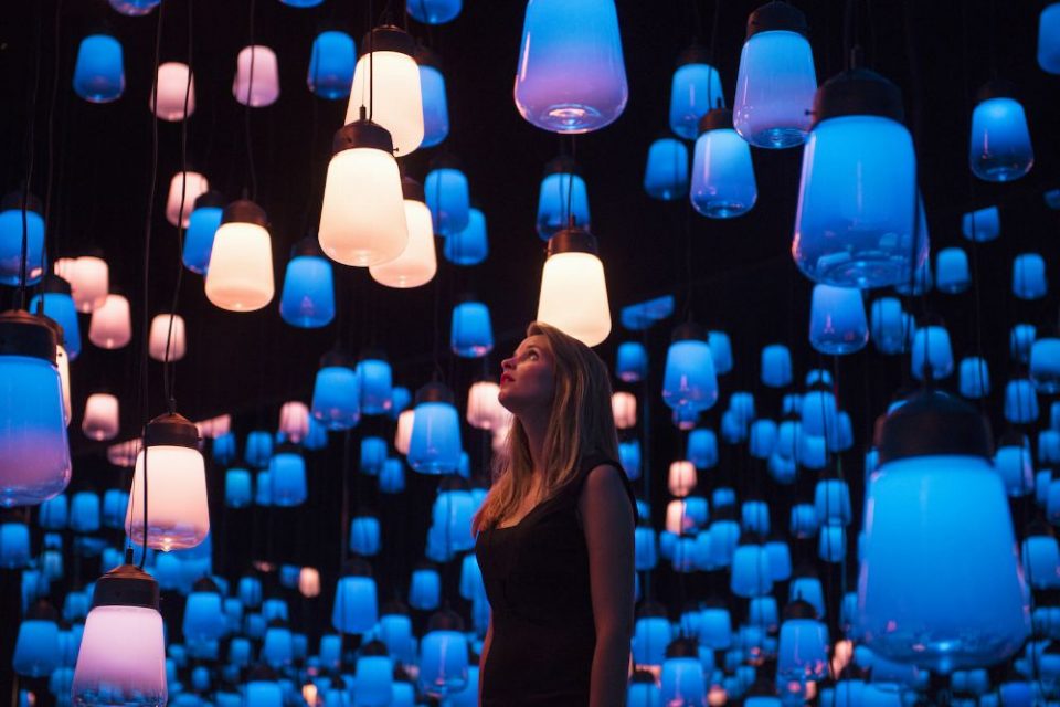 Forest of Resonating Lamps: Brilliant Interactive Illuminated ...