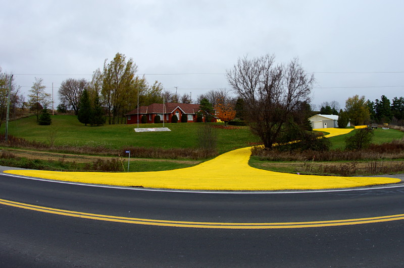 Park Places: 10 Creatively Paved, Painted & Personalized Driveways ...
