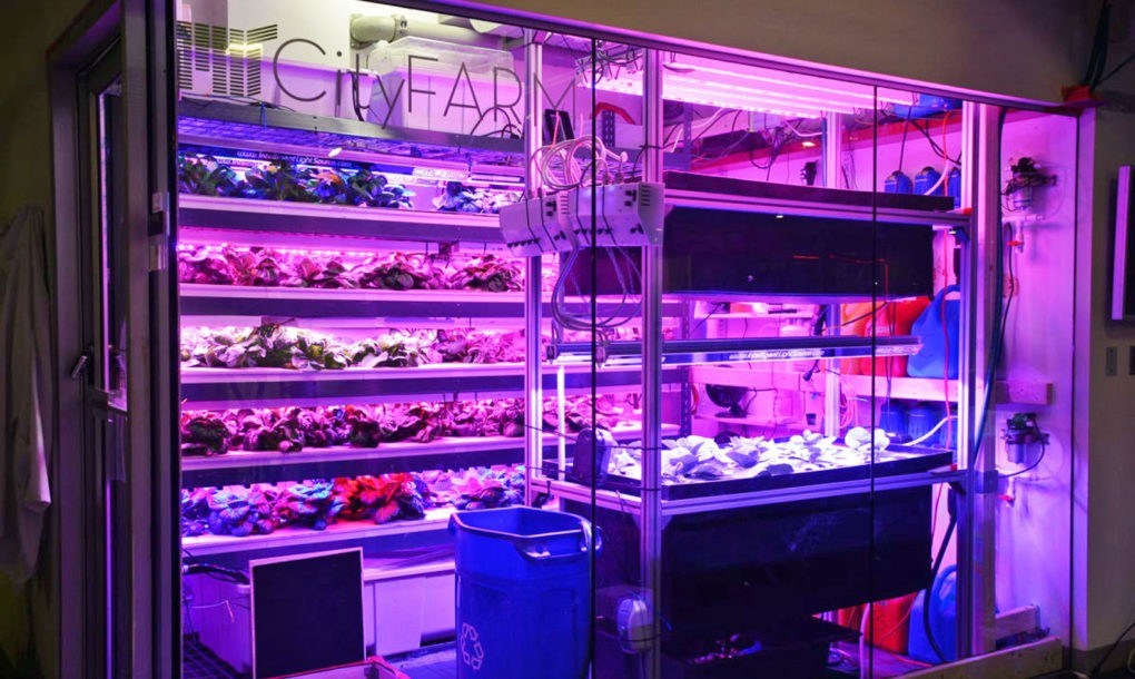 Retail Micro-Farming: MIT & Target to Launch In-Store Vertical Farms ...