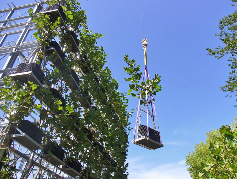 Baubotanik: German Botanical Architect Grows Buildings Out of Trees ...