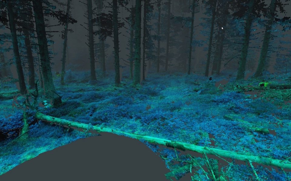 Virtual Reality Nature: Helmet Lets Humans See the Forest Like Animals ...