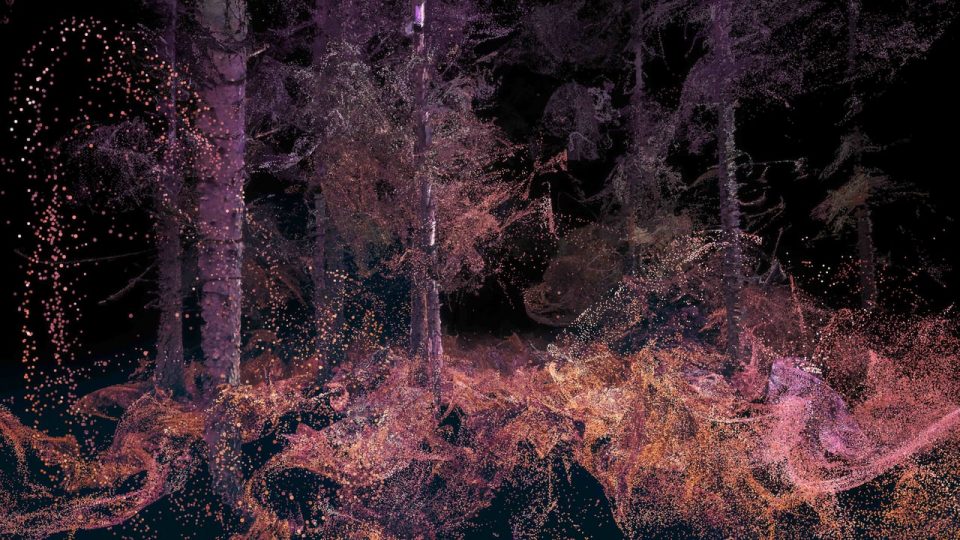 Virtual Reality Nature: Helmet Lets Humans See the Forest Like Animals ...