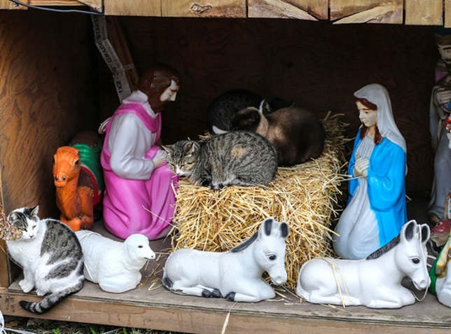 Strange Manger: The World’s Weirdest Nativity Scenes | Urbanist