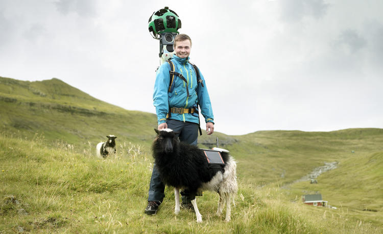 Google Sheep View: Creature-Mounted Cameras Map Rugged Faroe Islands ...