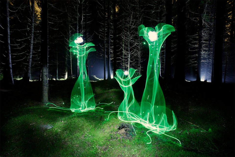 Painting with Light on a Canvas of Night: Alien Blooms by Hannu Huhtamo ...